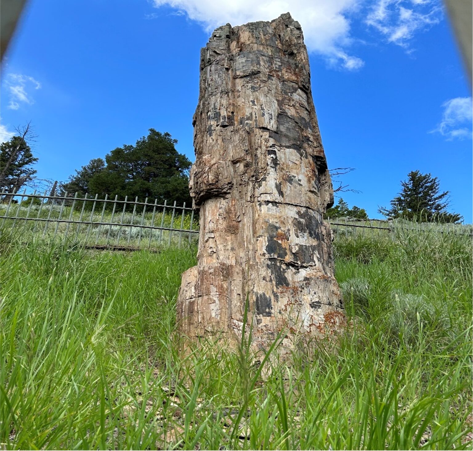 From Wood to Stone – Transformed in Christ – Covenant Brethren Church