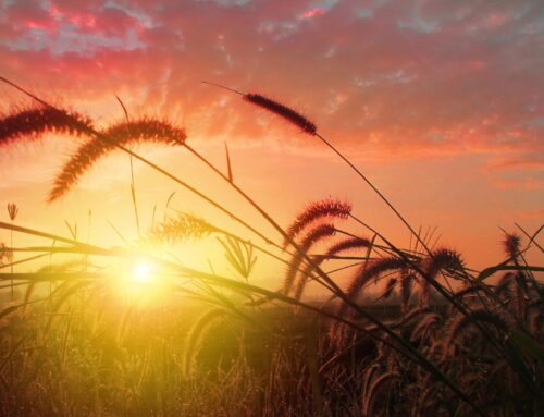 Summary of November 2025 CBC Executive Board Meeting – Covenant ...